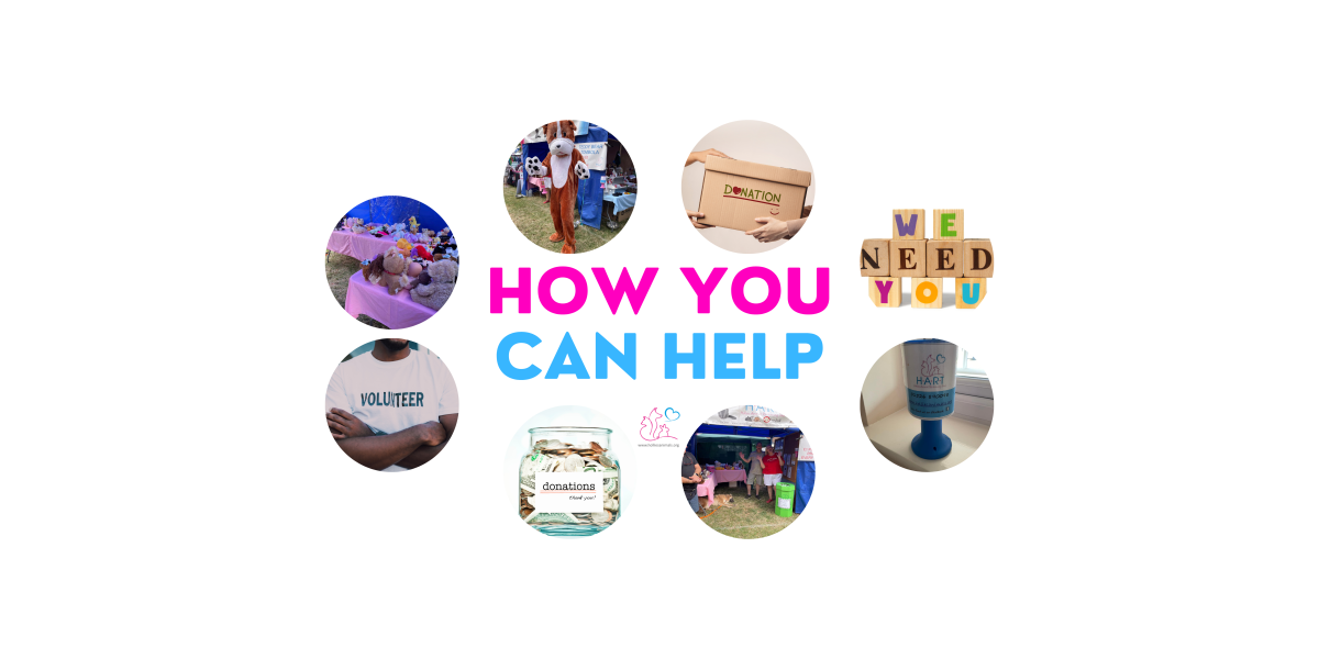 How can you help us? – Hollies Animal Re-homing Trust