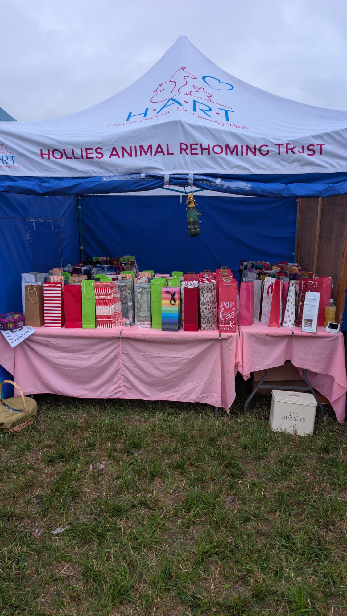 Heckington Show 2025 – HAS BEGUN! – Hollies Animal Re-homing Trust